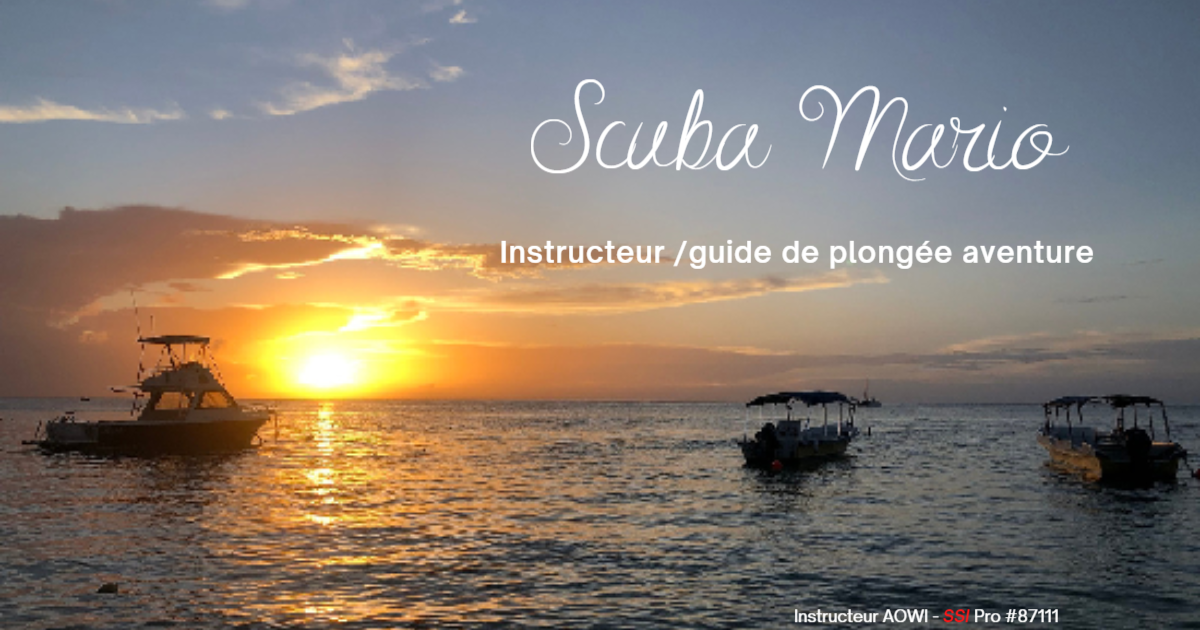 Scuba Mario